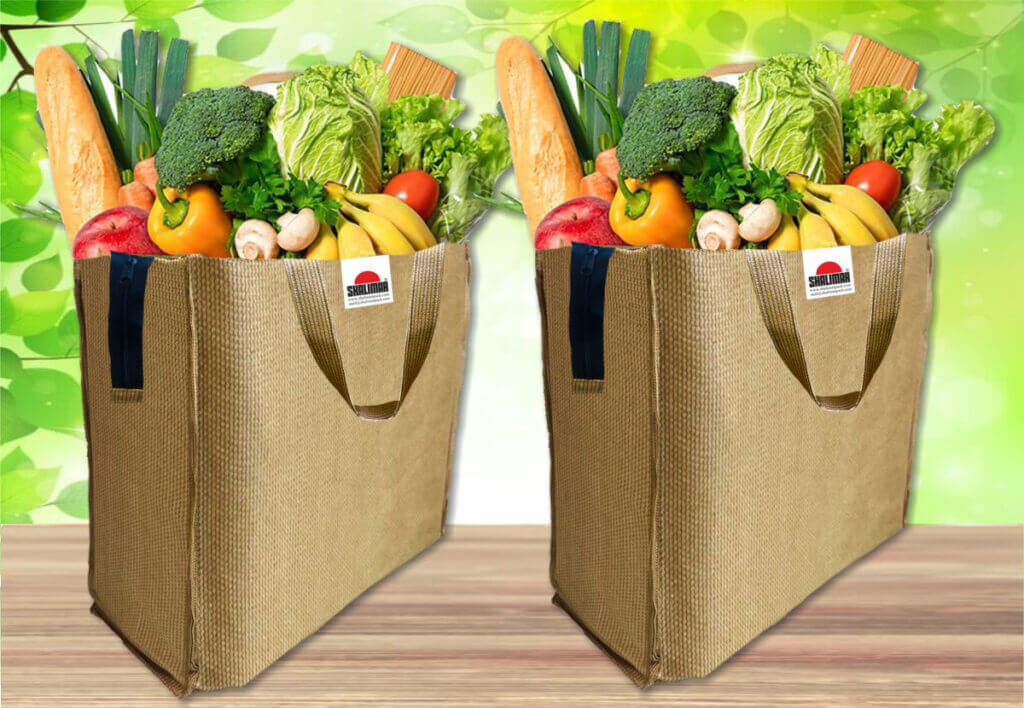 Shop Reusable Grocery Bags & Foldable Shopping Bags Online in India ...